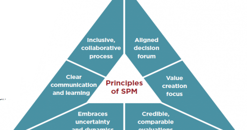 The 6 Principles of Strategic Portfolio Management | 7wData