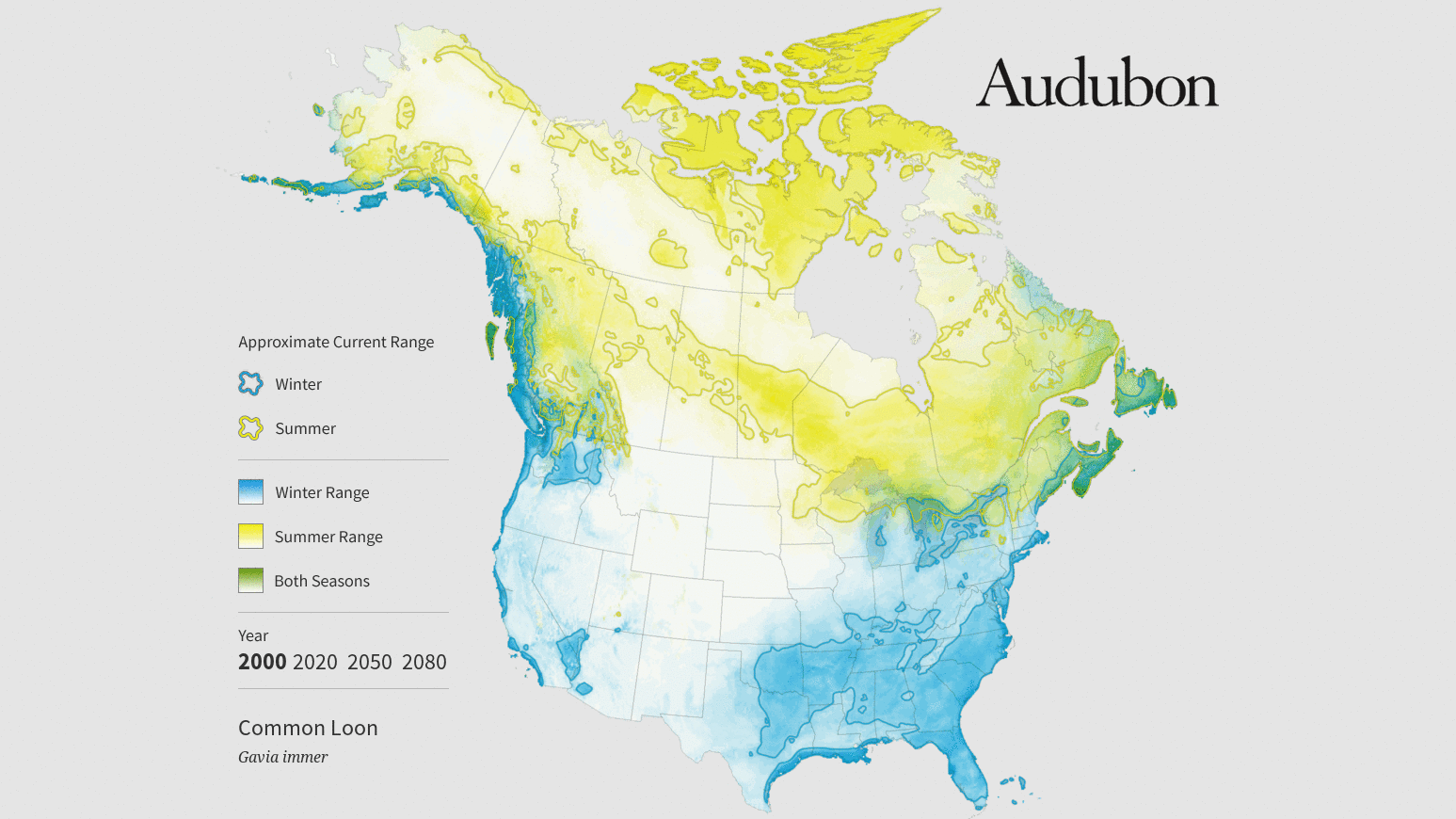 People-Powered Data Visualization | 7wData