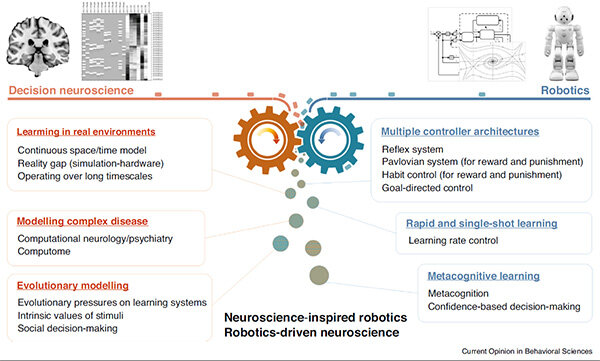 Brain-inspired artificial intelligence in robots | 7wData