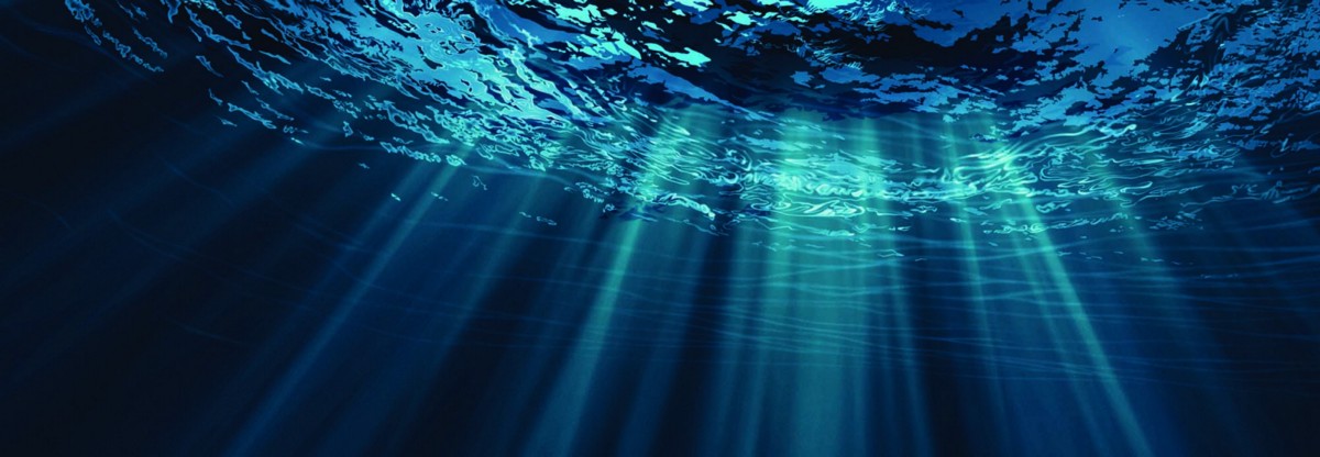 Deep Blue Sea: Using Deep Learning to Detect Hundreds of Different ...